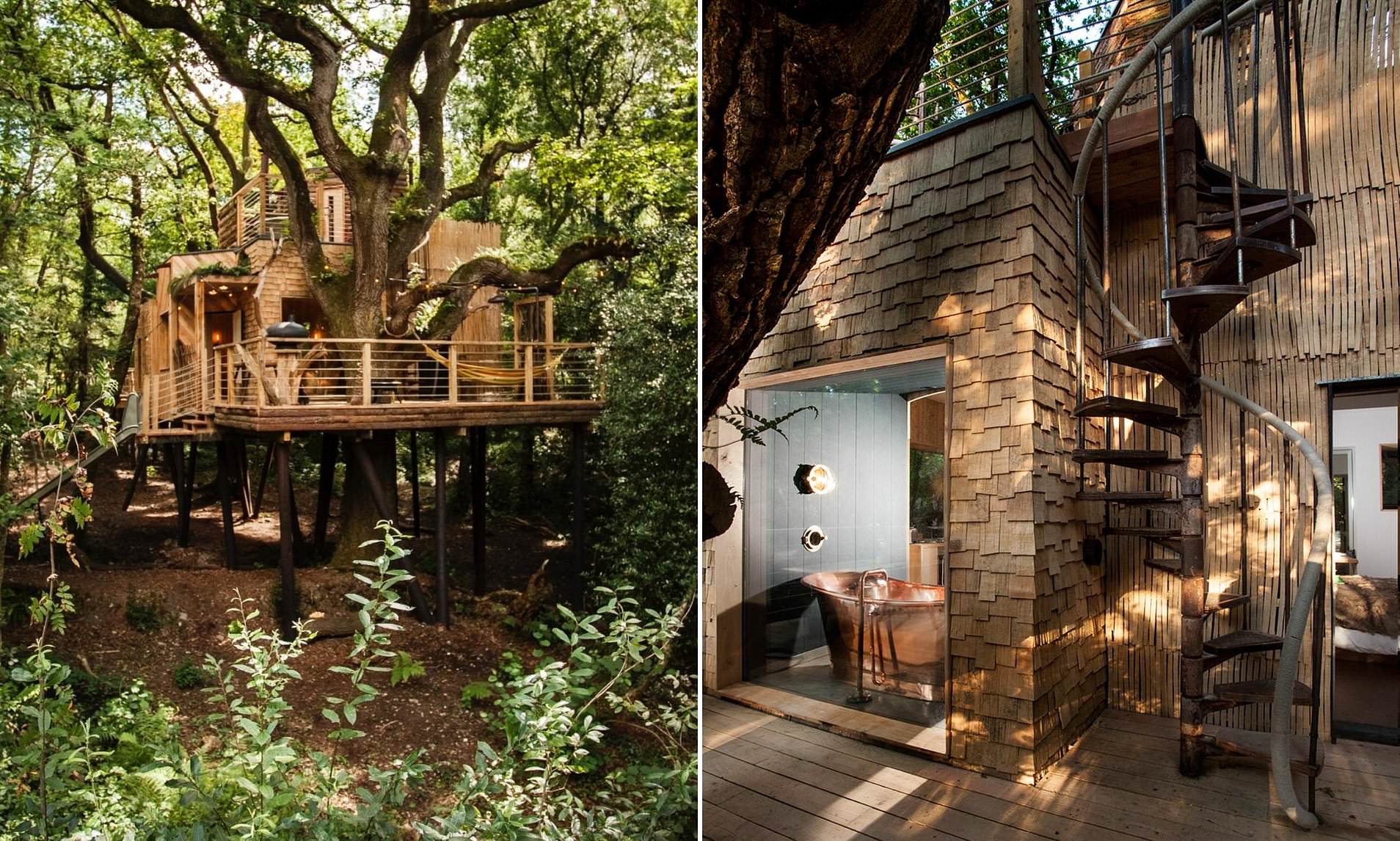 Stunning treehouse with its own slide set in 'magical woodland' goes up ...