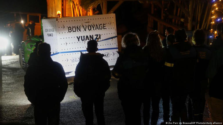 France's first giant Pandas head back to China