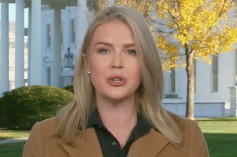 Karoline Leavitt dubbed a 'clown' as she gets mocked for Trump rant ...