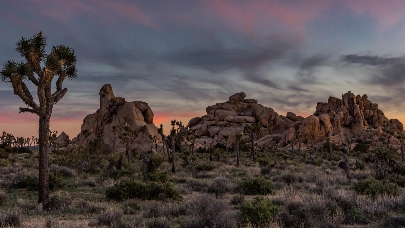 How to explore the best hikes in Joshua Tree National Park