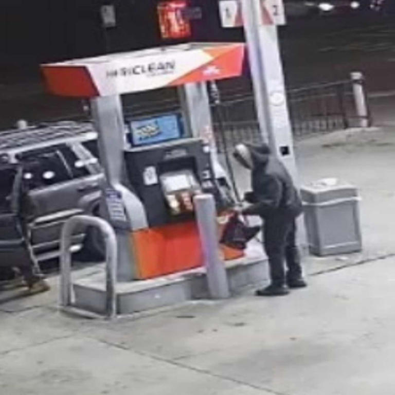 Who Is Bethany MaGee? Chicago Train Passenger Burned Alive