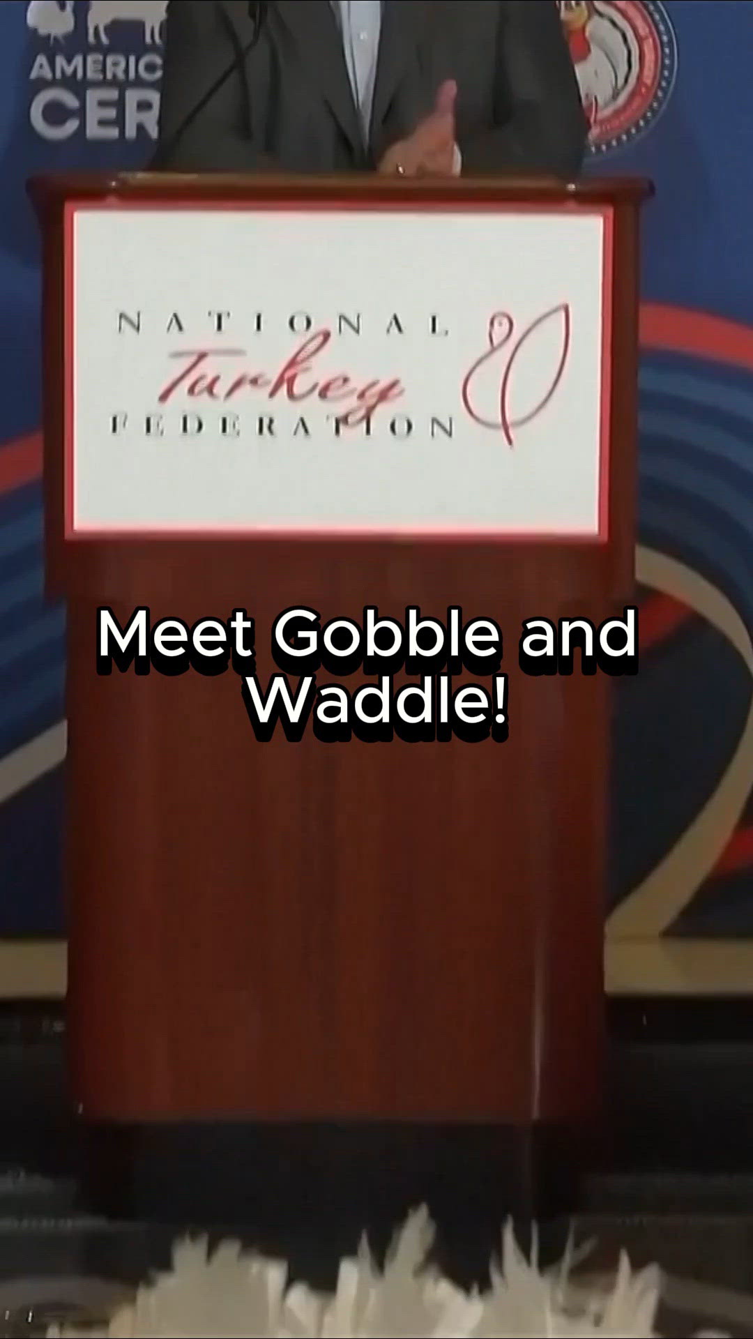 Meet the 2025 Pardoned Turkeys 'Gobble' & 'Waddle'