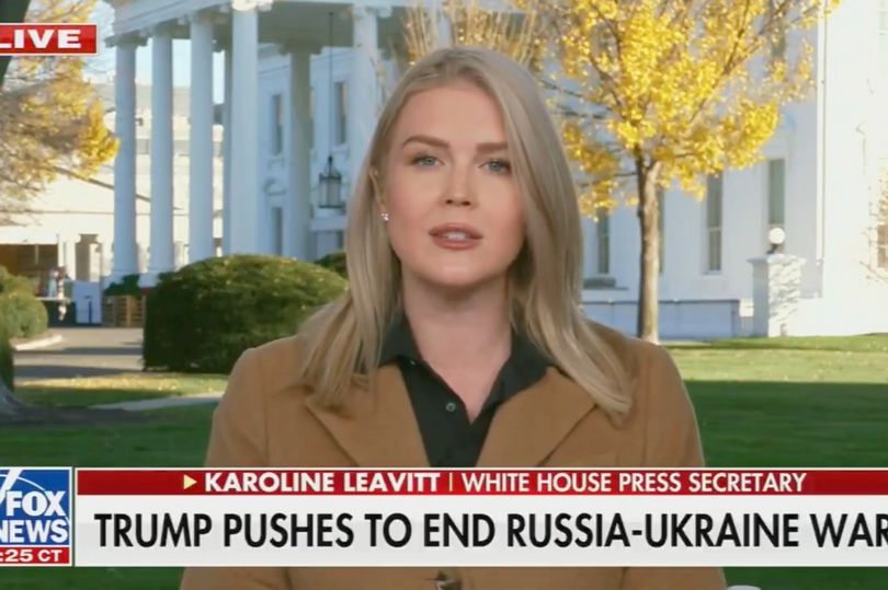 Karoline Leavitt dubbed a 'clown' as she gets mocked for Trump rant ...