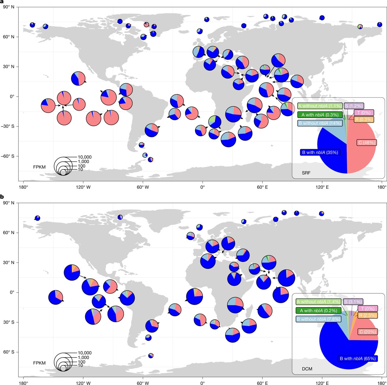 Marine viruses hijack bacterial genes to dismantle and exploit energy ...