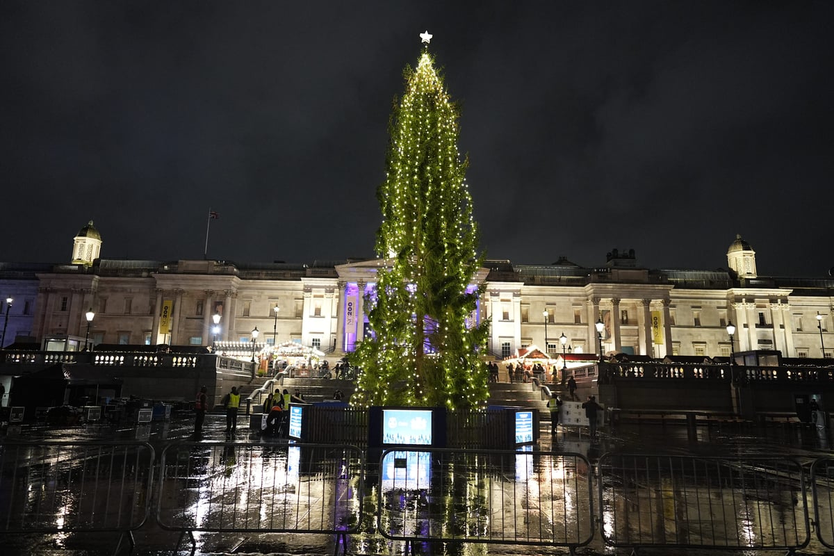 When will Trafalgar Square’s Christmas tree be lit?