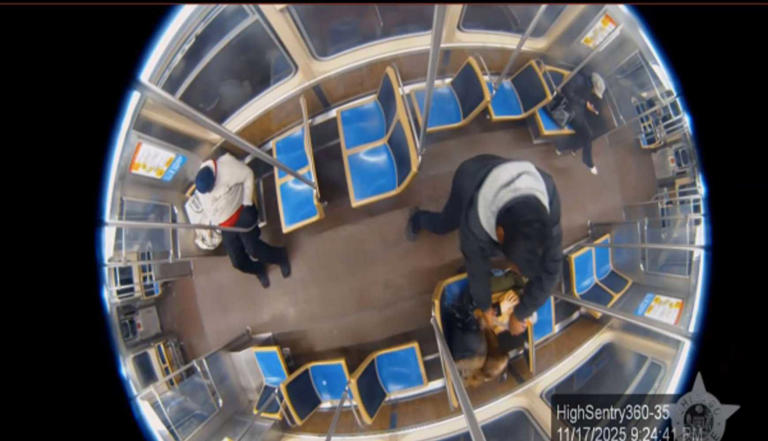 Who Is Bethany MaGee? Chicago Train Passenger Burned Alive