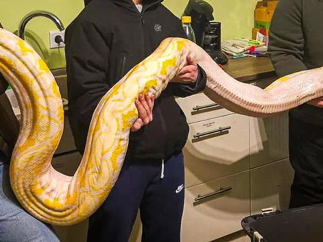 „Haben über Stunden versucht, das Tier zu retten“ – Tierheim-Chefin ...