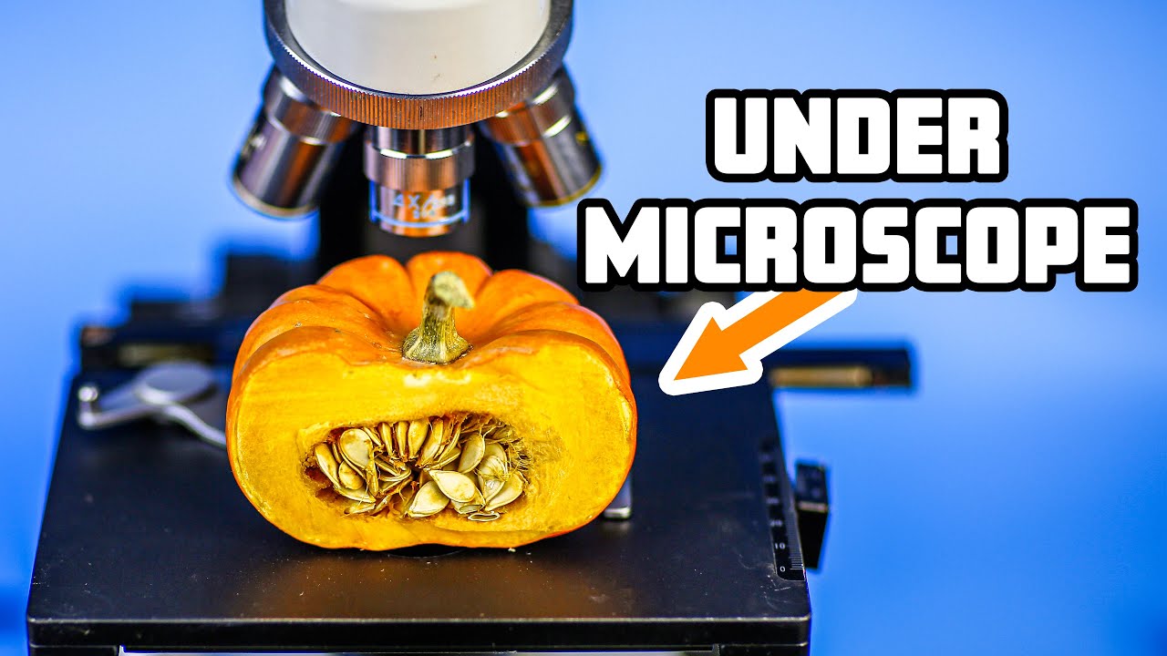 You can't believe these are inside a pumpkin