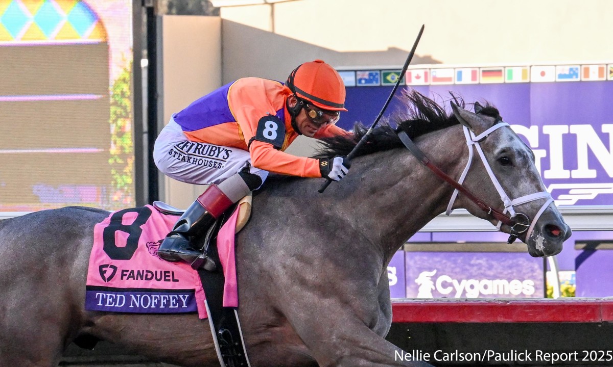 Gold trophy dreams: Ted Noffey's horse of the year bid came earlier ...