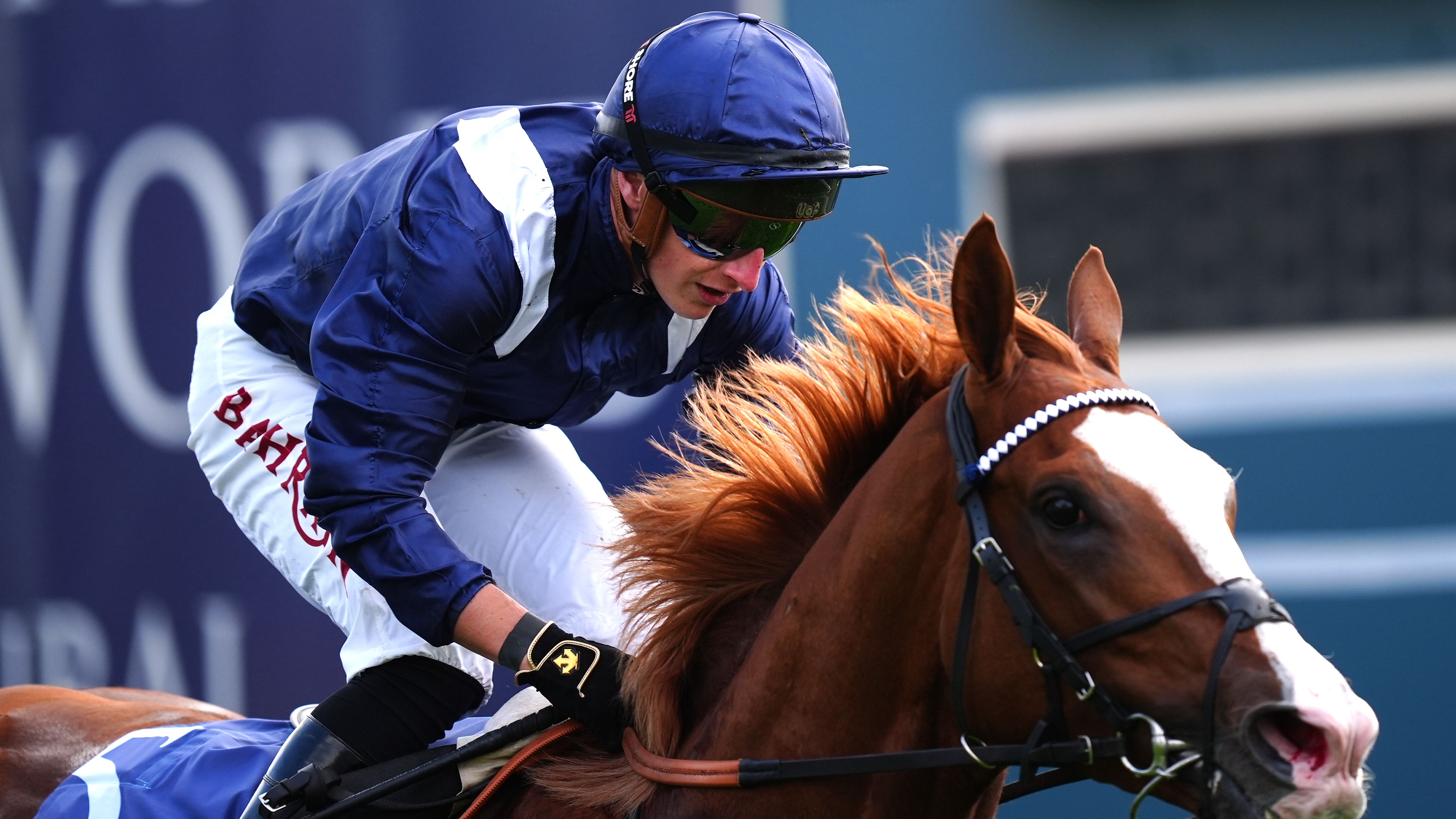 Economics to stand as a stallion in India