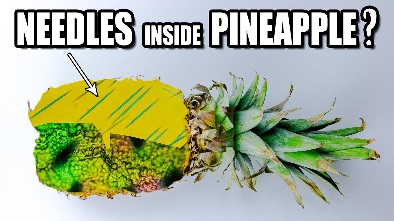 Pineapple under microscope