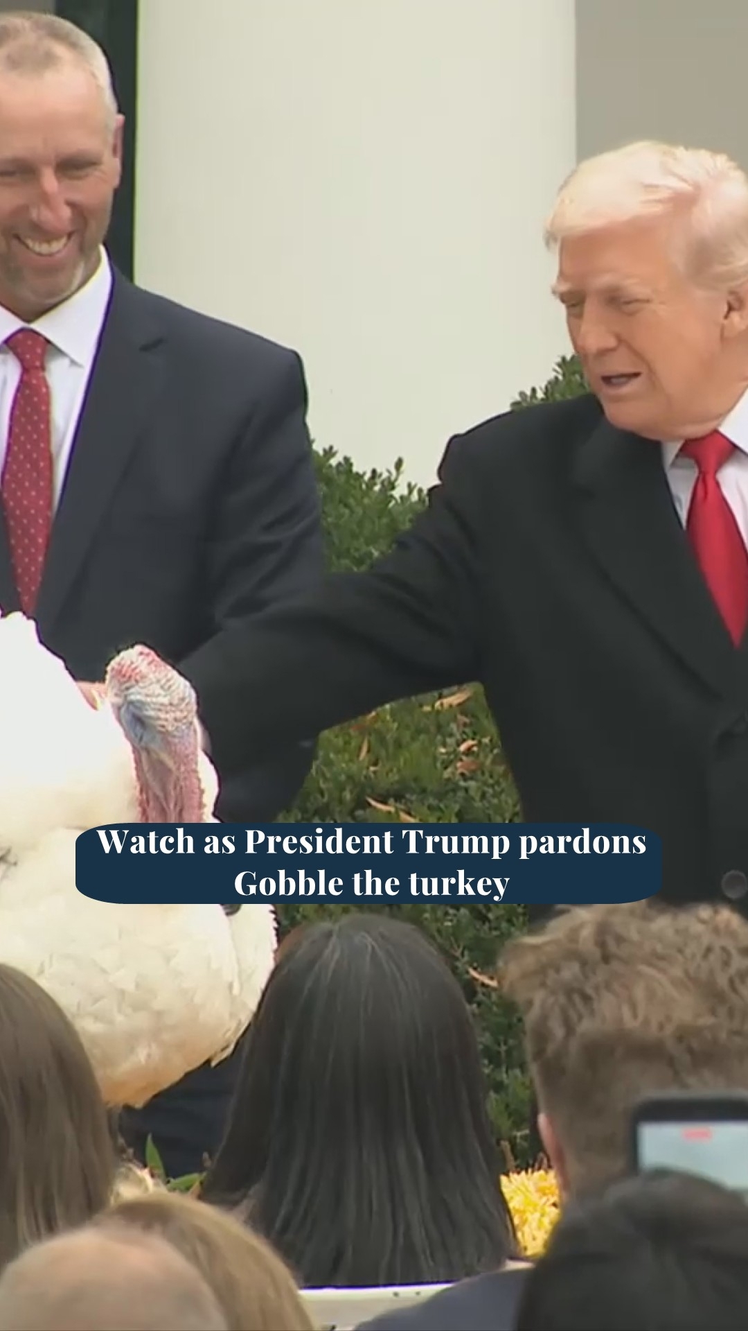 President Trump pardons turkeys for Thanksgiving