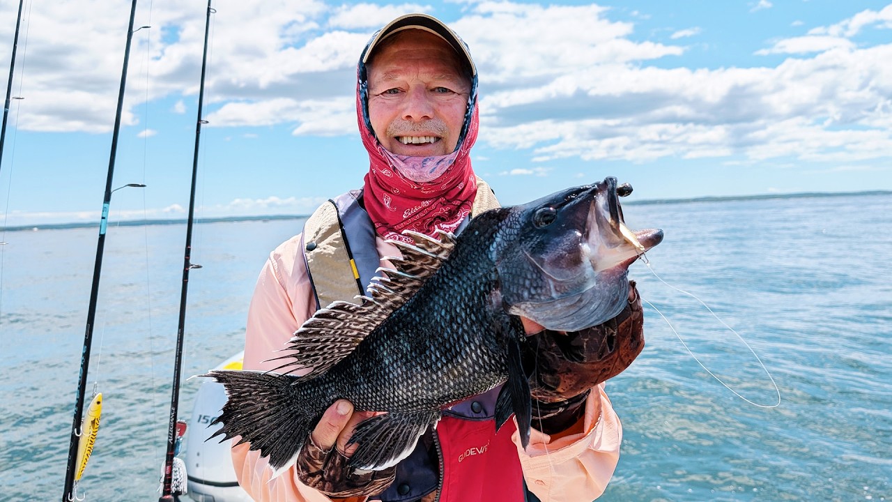 Saltwater fishing with Stingnose peanut bunker jigging spoons (sea bass ...