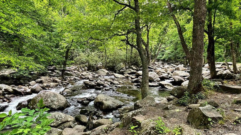 Hidden In The Smoky Mountains Is Tennessee's Picnic Area With A ...