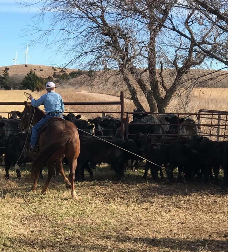 Pratt CC rodeo athlete recovering at hospital after suffering severe ...