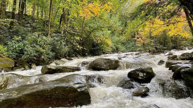 Hidden In The Smoky Mountains Is Tennessee's Picnic Area With A ...