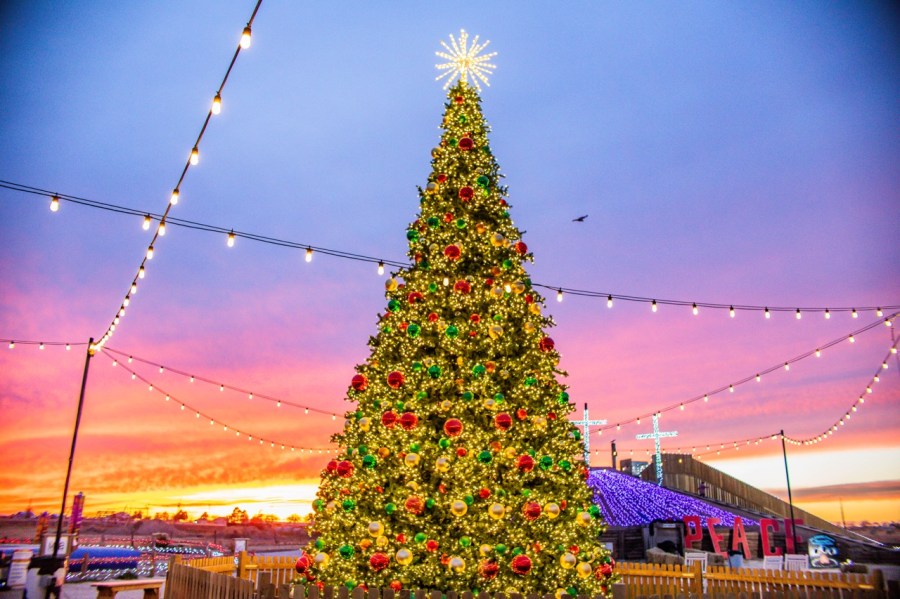 Preview of opening of Maxwell’s Christmas lights display