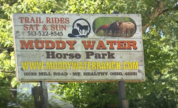 Springfield Township ranch owner appears in court over animal cruelty ...