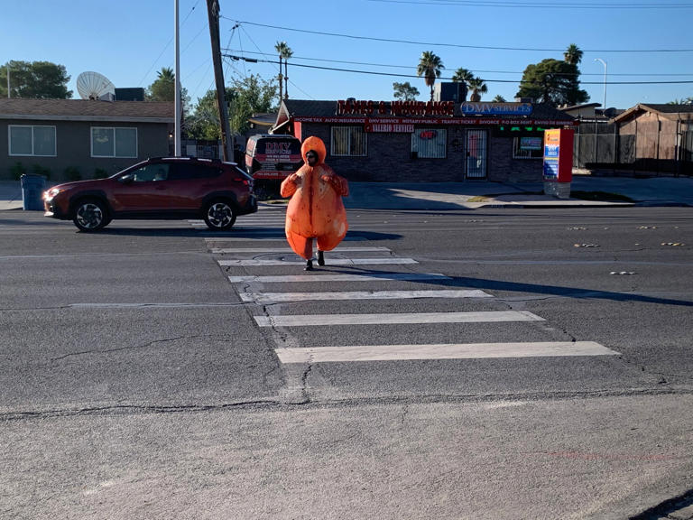 Over 100 drivers cited during turkey crossing safety demonstration in ...