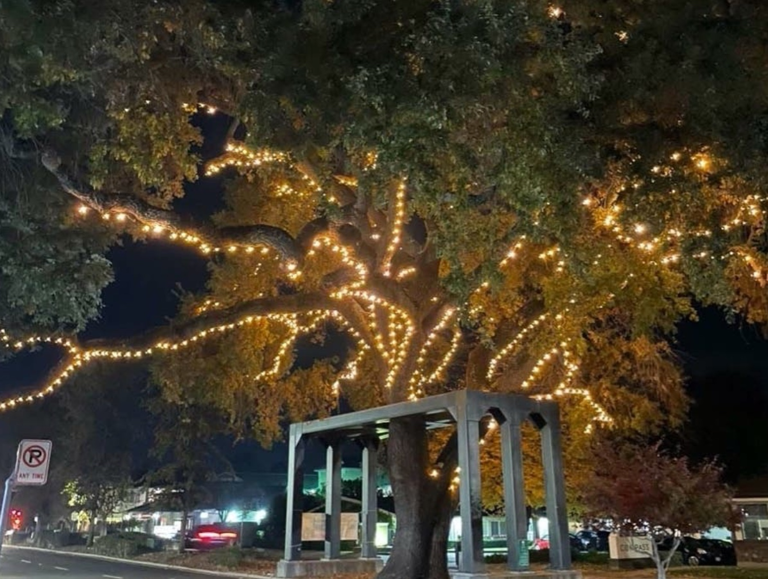 American Idol Top 11 Finalist To Sing At Old Oak Tree Lighting