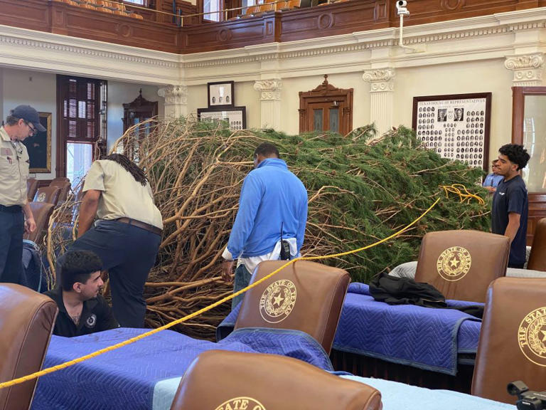 VIDEO: 28-foot-tall Christmas tree installed in Texas House Chamber