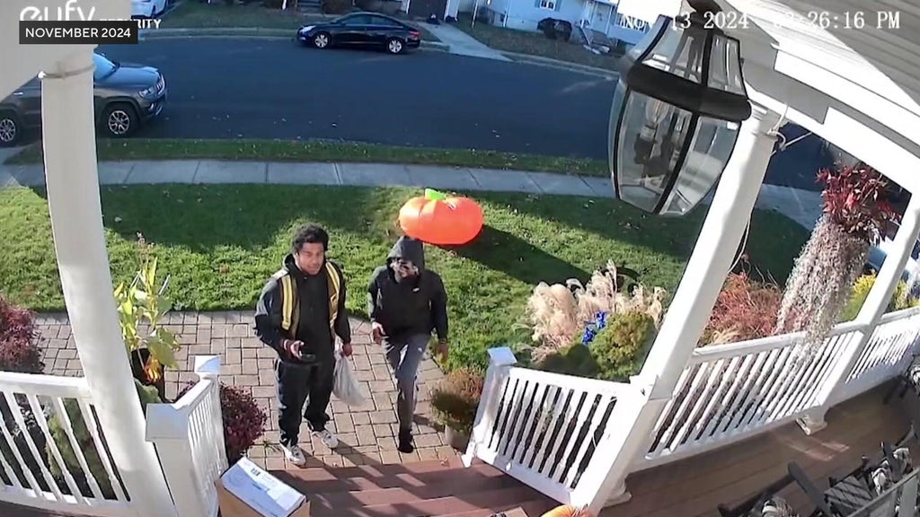 Porch Pirates Act would stiffen penalties for package thieves. Here's how.