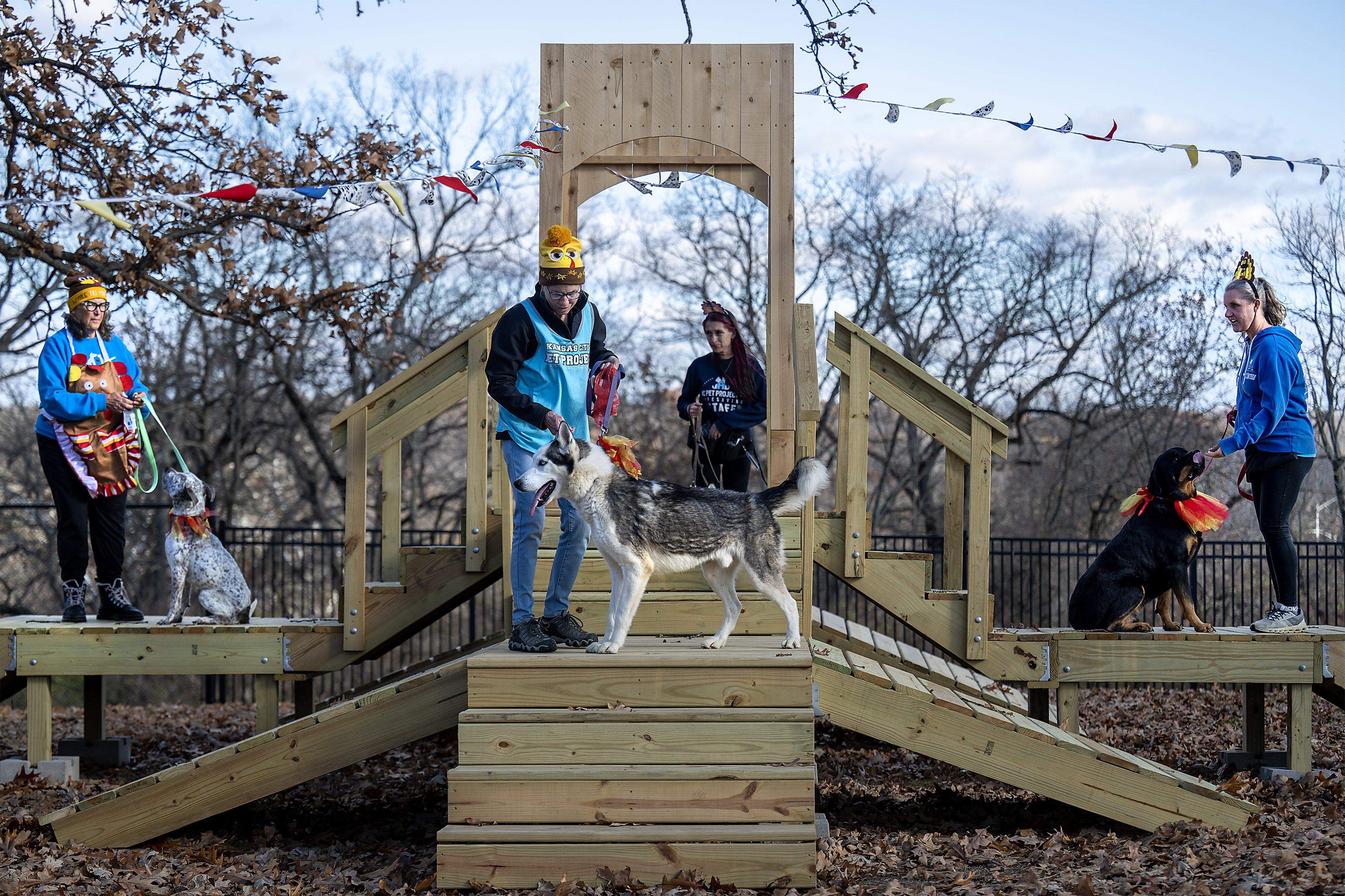 Kansas City has a new dog playground for shelter pups. See KC Pet ...