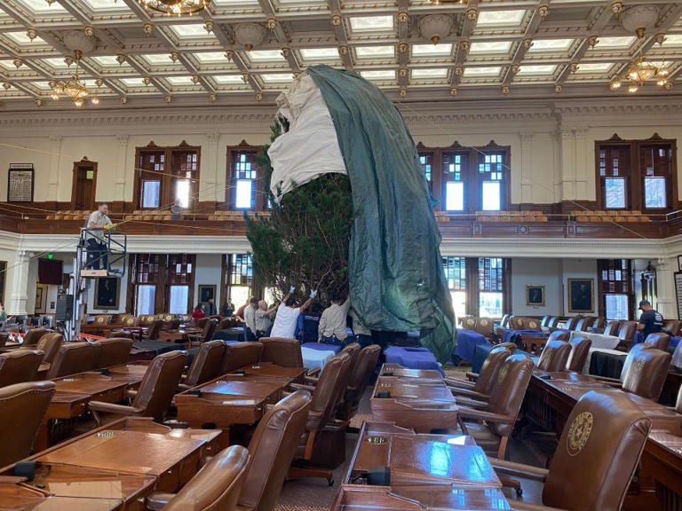VIDEO: 28-foot-tall Christmas tree installed in Texas House Chamber