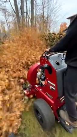 Dry Leaves Be Gone! Satisfying Cleanup in Action