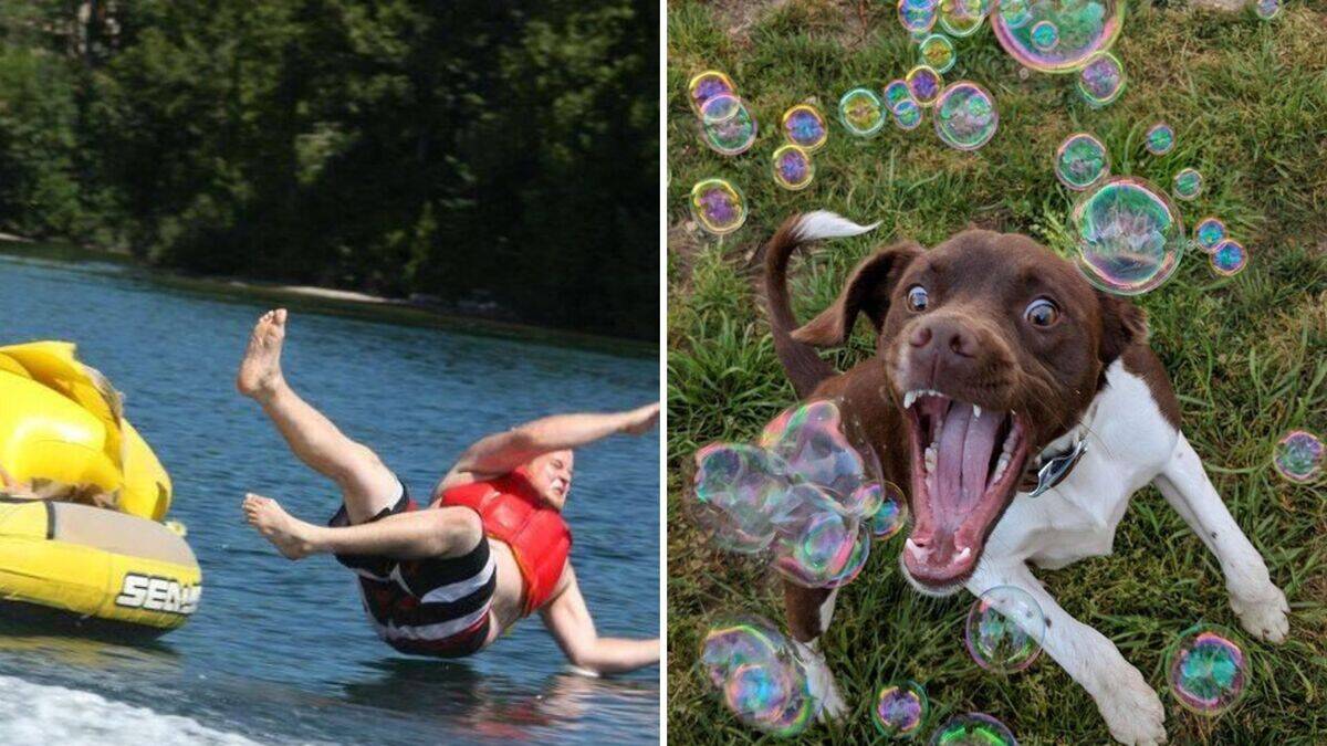 19 Perfectly timed photos that captured some hilarious scenes