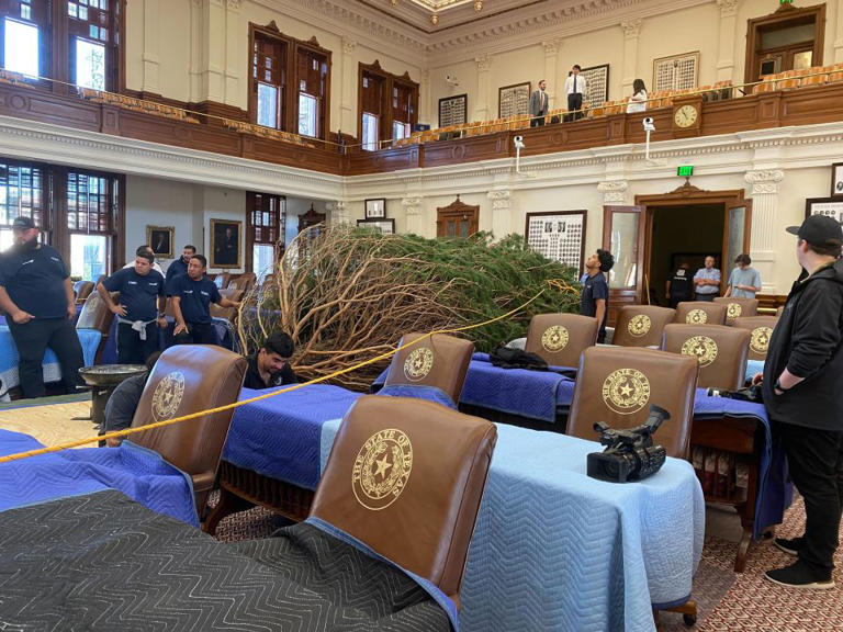 VIDEO: 28-foot-tall Christmas tree installed in Texas House Chamber