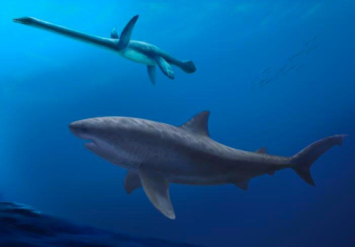 Fossils show giant sharks evolved far earlier than expected