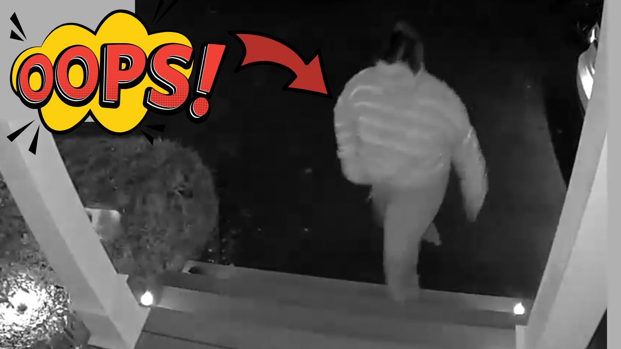 'Don’t Ask Me How I Fell!' - Woman experiences abrupt fall on front ...