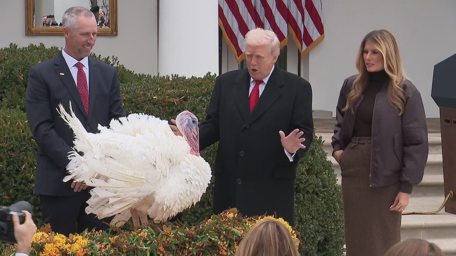 President Trump pardons turkeys ahead of Thanksgiving