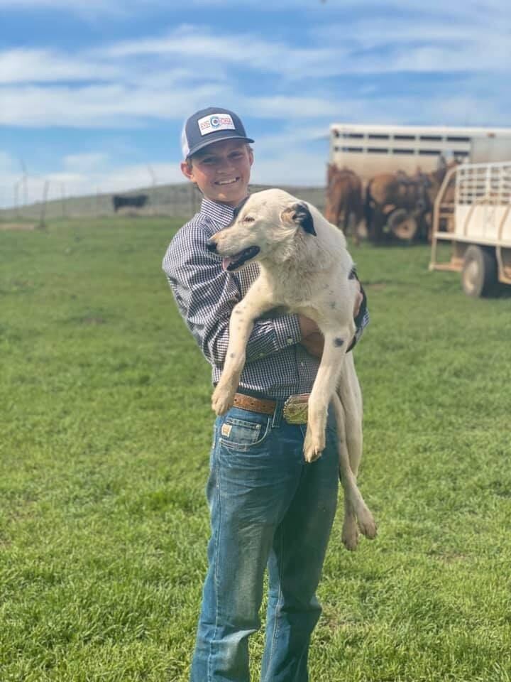 Pratt CC rodeo athlete recovering at hospital after suffering severe ...