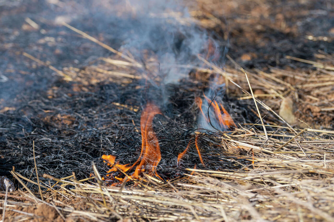 Wildland fire burns 12 acres in Homestead Township