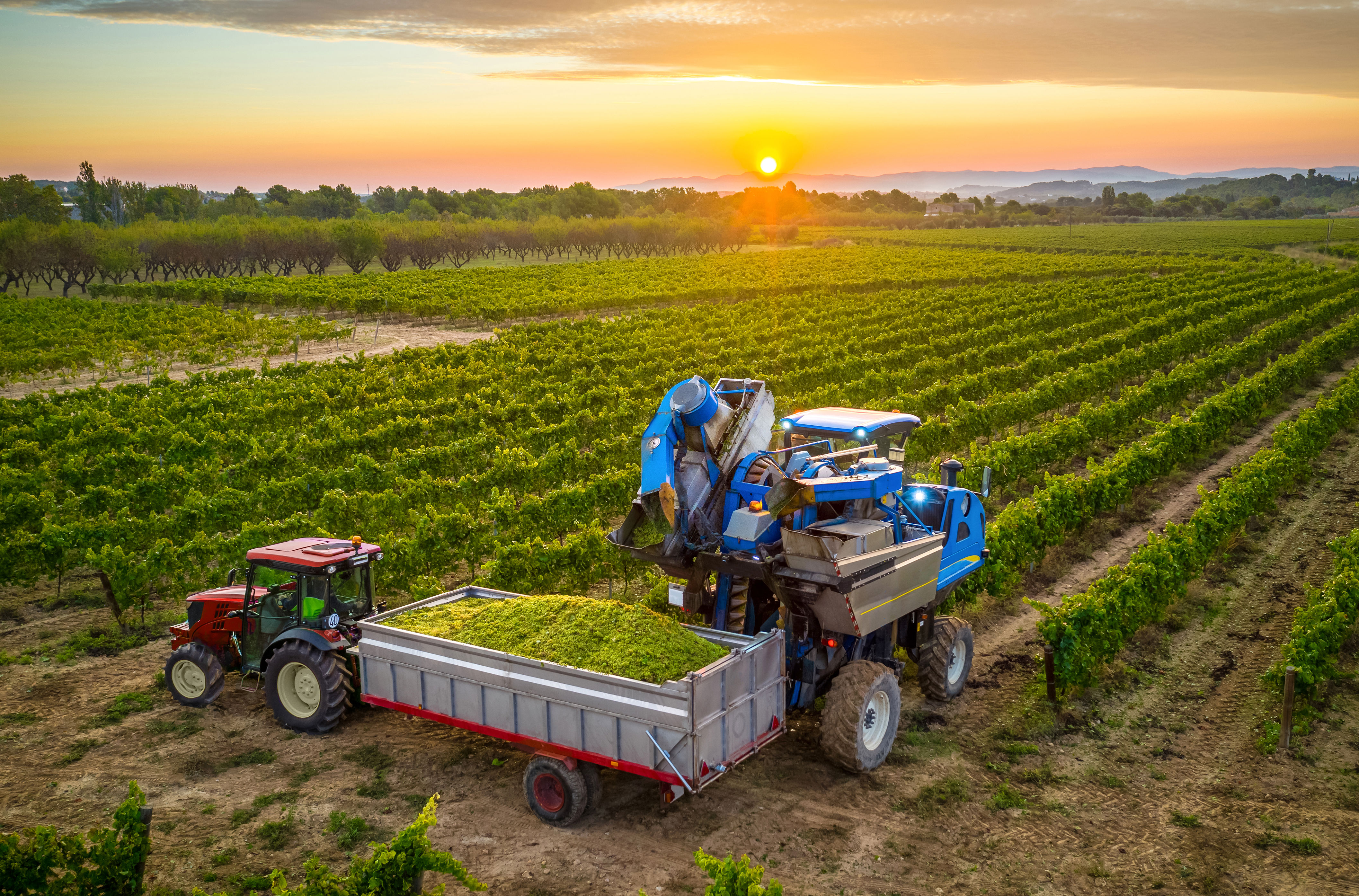 Why Titan Machinery Stock Thrashed the Market on Tuesday
