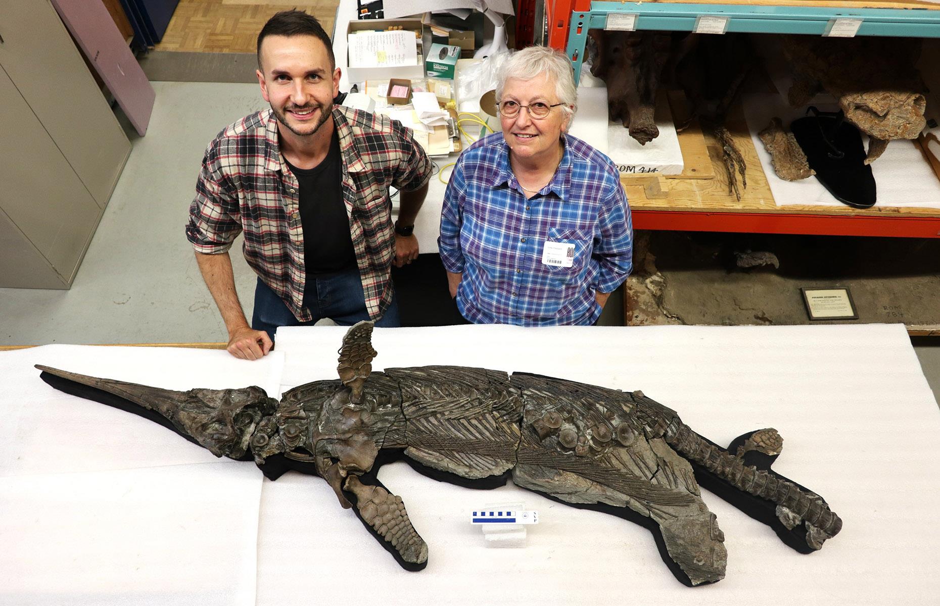 The most extraordinary fossils discovered in the 21st century
