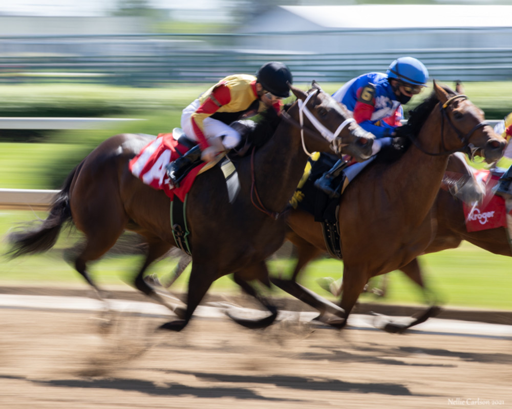 Eureka Downs Could Have 16-Day Fair Meet In 2026