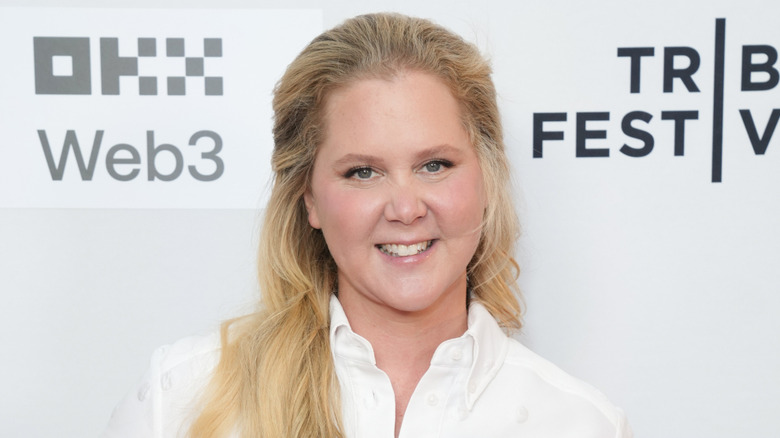 Amy Schumer All But Confirms The Chris Fischer Divorce Rumors Aren't ...