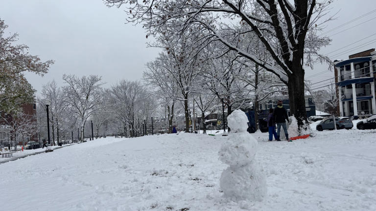Pittsburgh looks great in the season's first snow