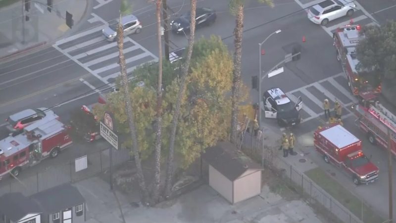 Tree trimmer fatally impaled on iron fence after 35-foot fall in L.A.