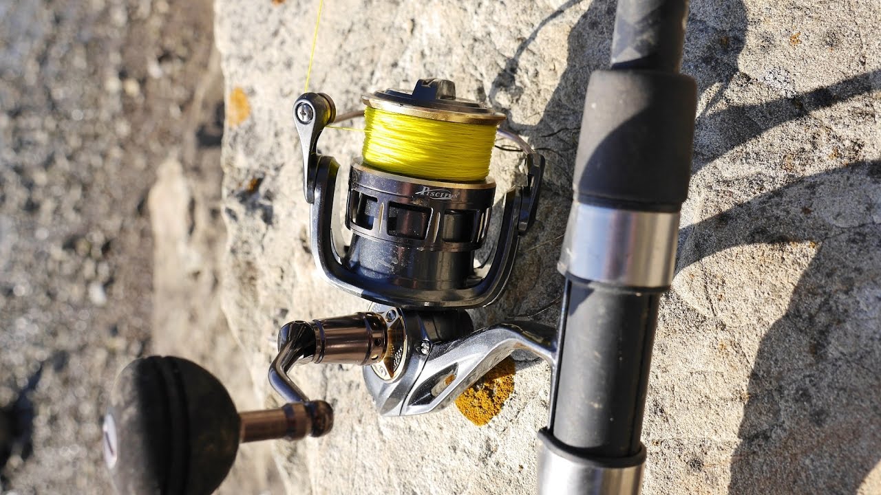 Which reel wins? Penn Battle II 4000 or Piscifun Stone ST40