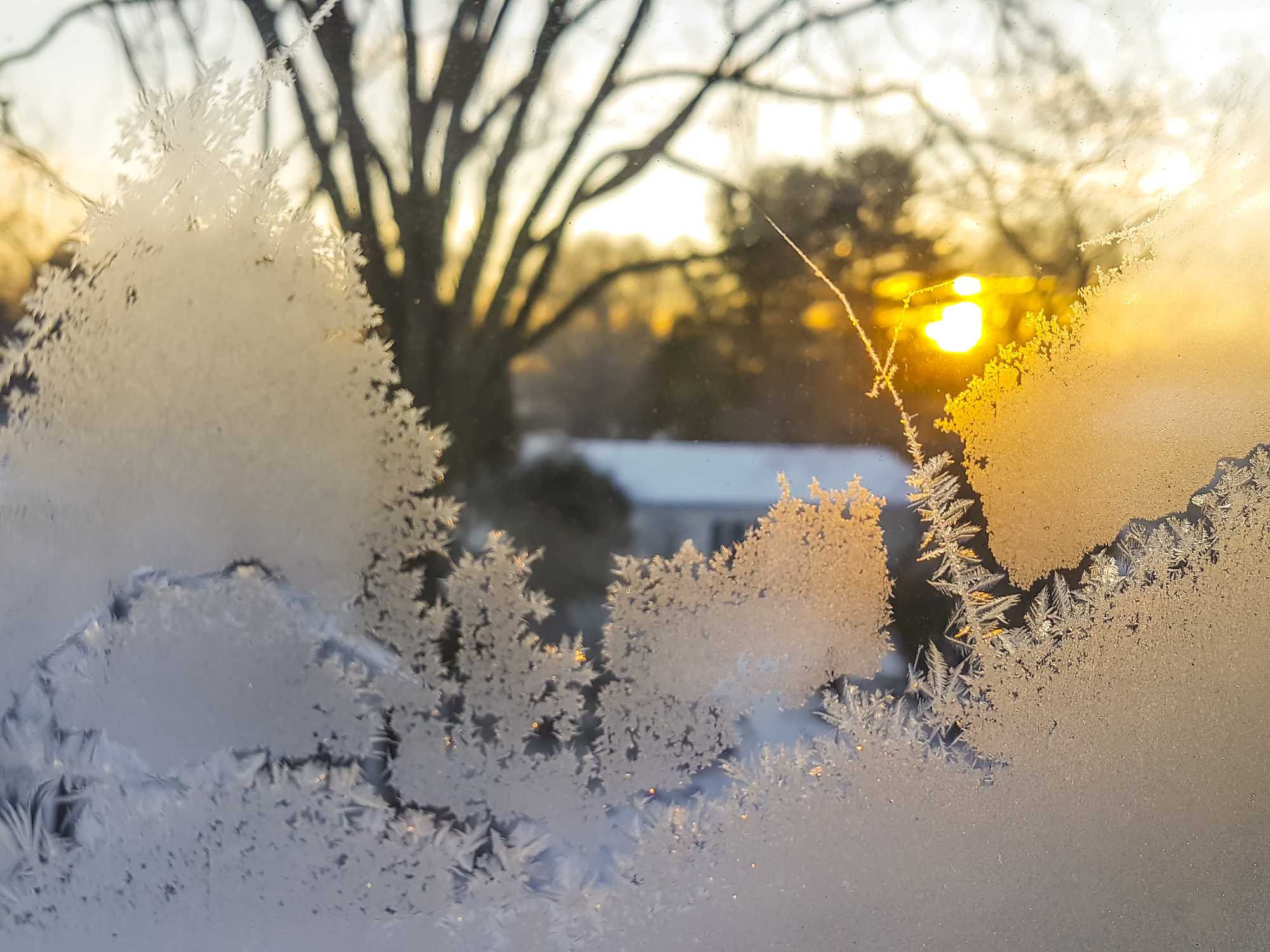 Coldest temperatures recorded this morning | One spot hit minus 8!