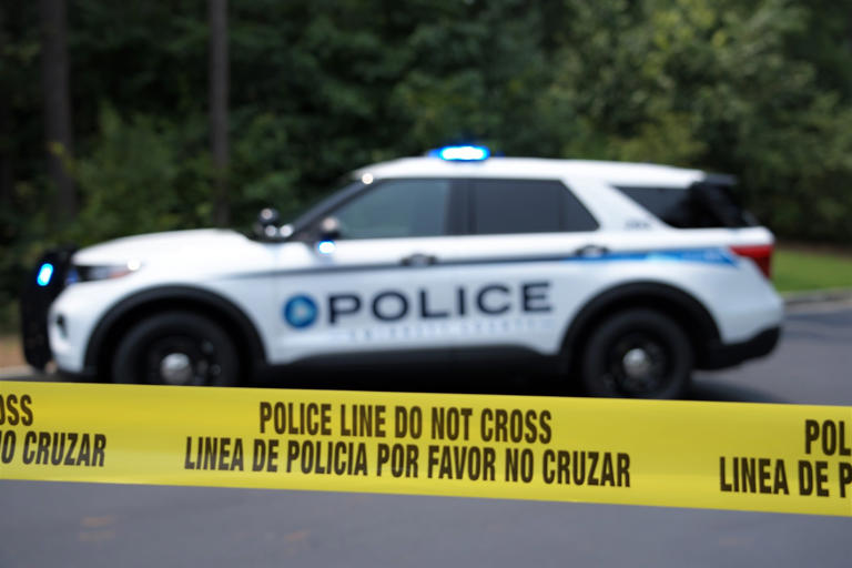 Police investigating metro Atlanta homicide after man shot, dies at ...