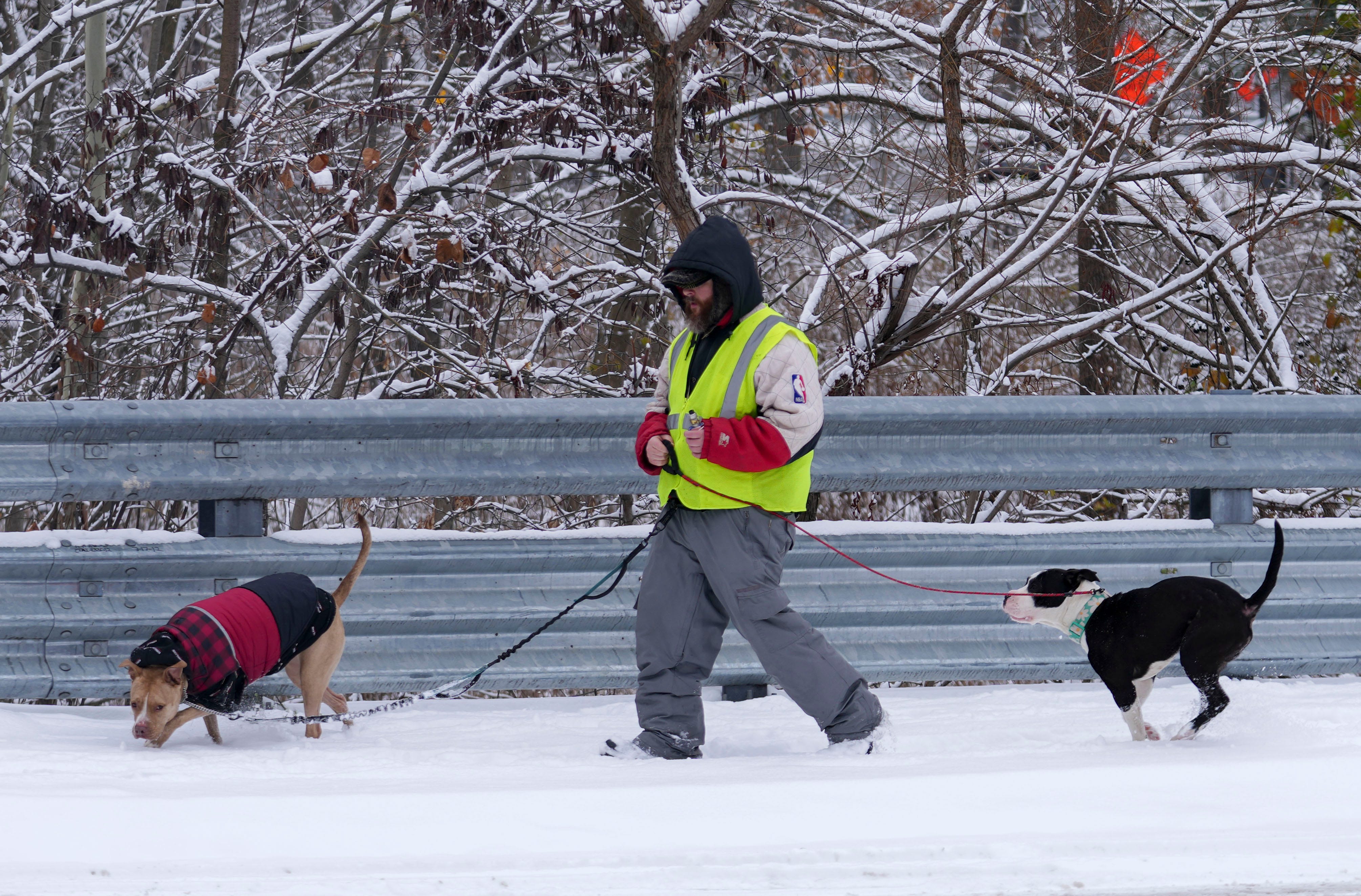 Your jerk neighbor left their dog outside, and it's freezing. Who do ...