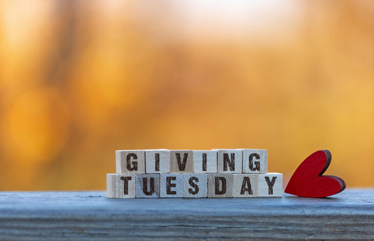 How to make sure your Giving Tuesday gift is put to good use