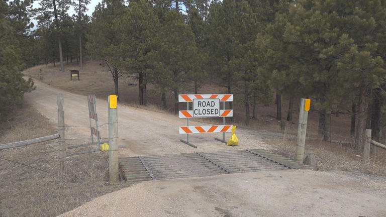 Beretta Road near Keystone to close for logging operations