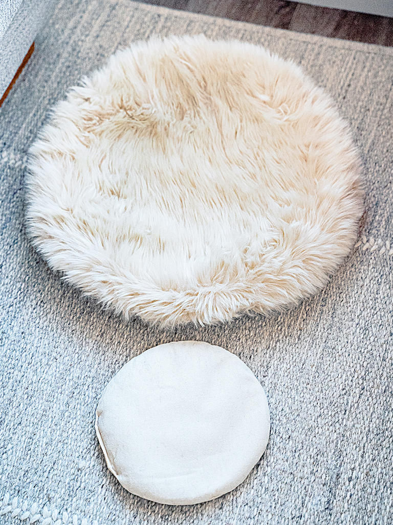 My Choosy Cats’ New Favorite Hideout Is Cozy for Them, Actually ...