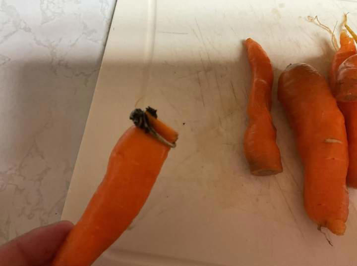 A ring with an extra carrot ends decades-long mystery for Alberta couple